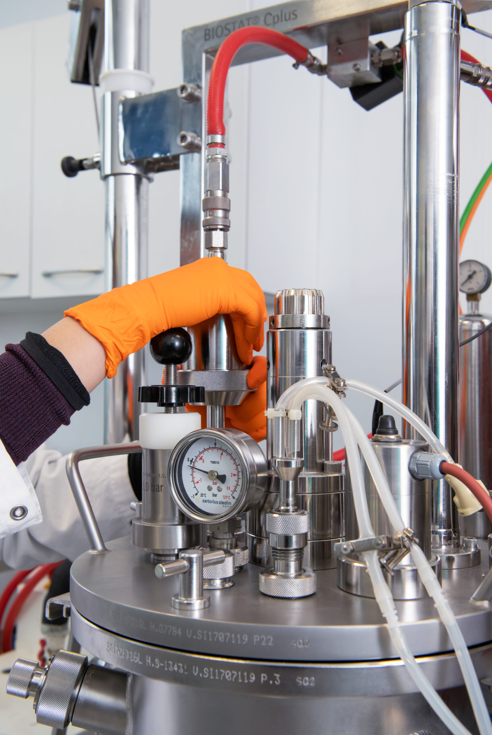 Bon Vivant Raises €15M for Precision Fermentation Dairy Proteins