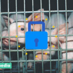 eu-caged-farming-ban-cage-free-hold-thanks-aggressive-pressure-meat ...