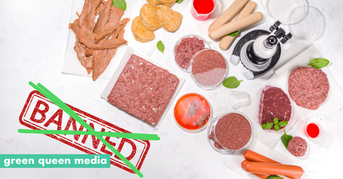 Che Sorpresa! Italy U-Turns on Cultivated Meat Ban – For Now