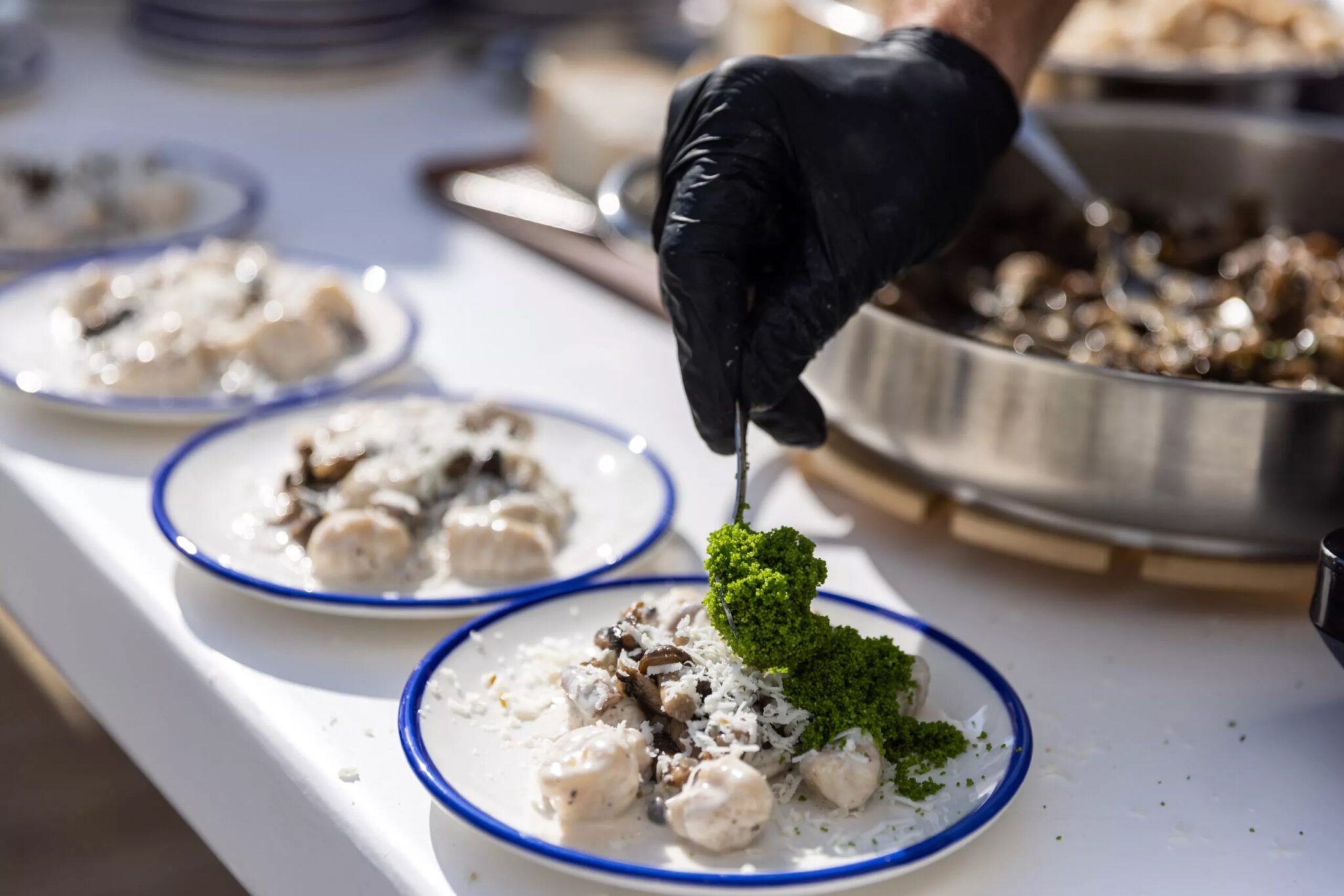 What is Duckweed?: The Lemna Startups Making the Future of Food