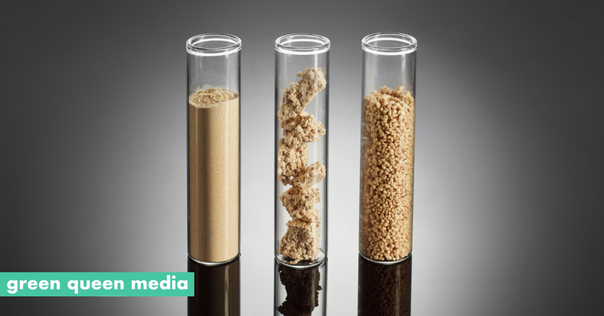 CellX Taps Into Mycelium Fermentation for Hybrid Cultivated Meat