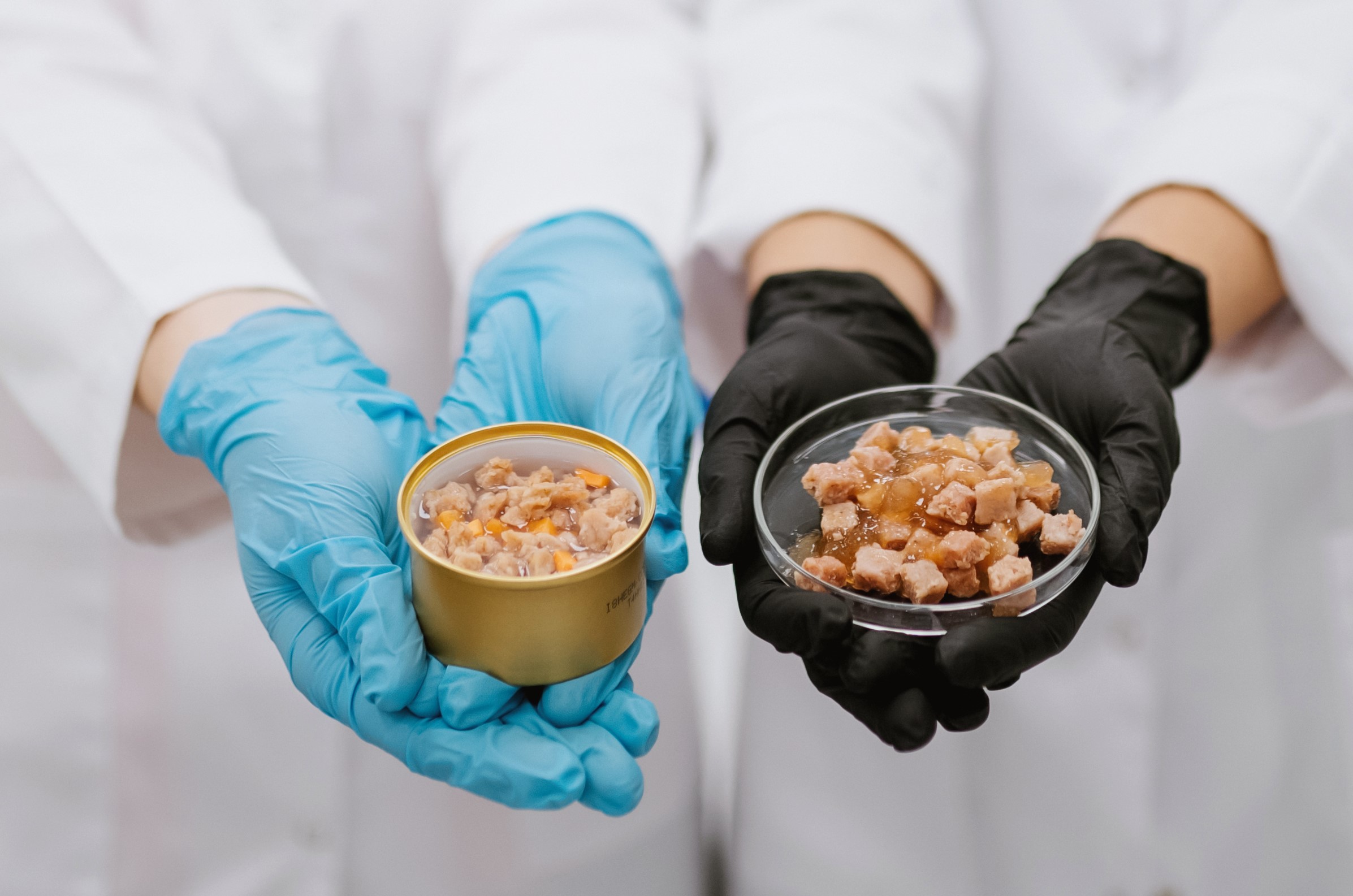 cultivated-pet-food-cultured-bene-meat-technologies-eu-regulatory ...