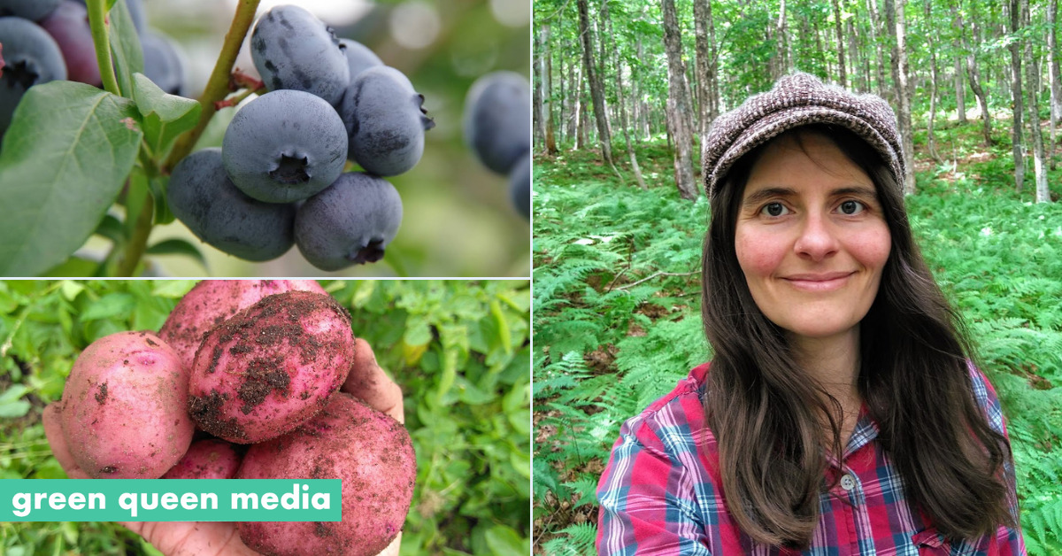 'A Growing Movement': Q&A with the Co-Founder of Veganic Farming Summit