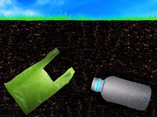 Microplastics in Soil: Researchers Use AI to Assess Impact on Food