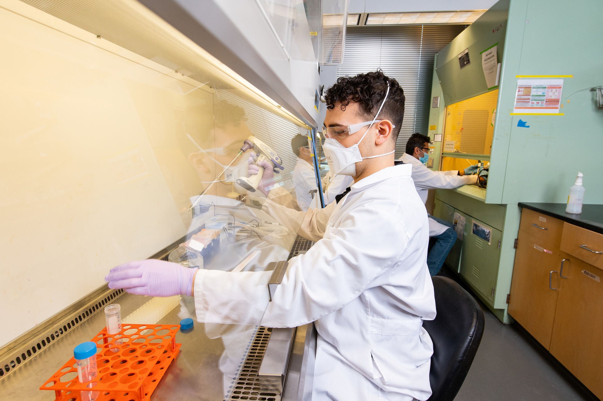 Study the Future of Food: Universities Offering Alt-Proteins Courses