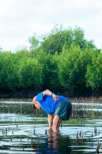 Climate Change Insurance: Protecting Mexico's Mangrove Forests