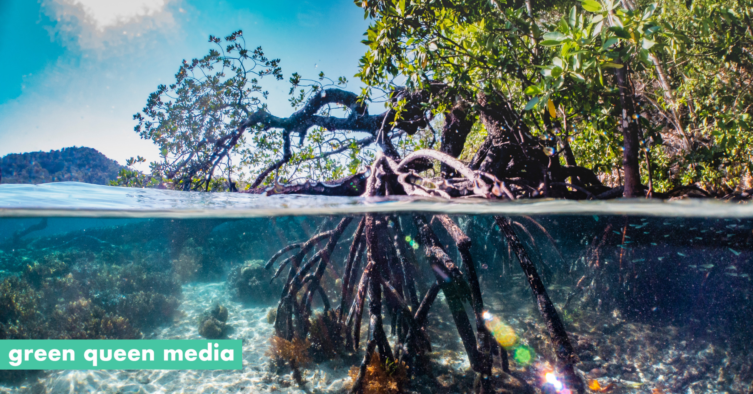 Climate Change Insurance: Protecting Mexico's Mangrove Forests