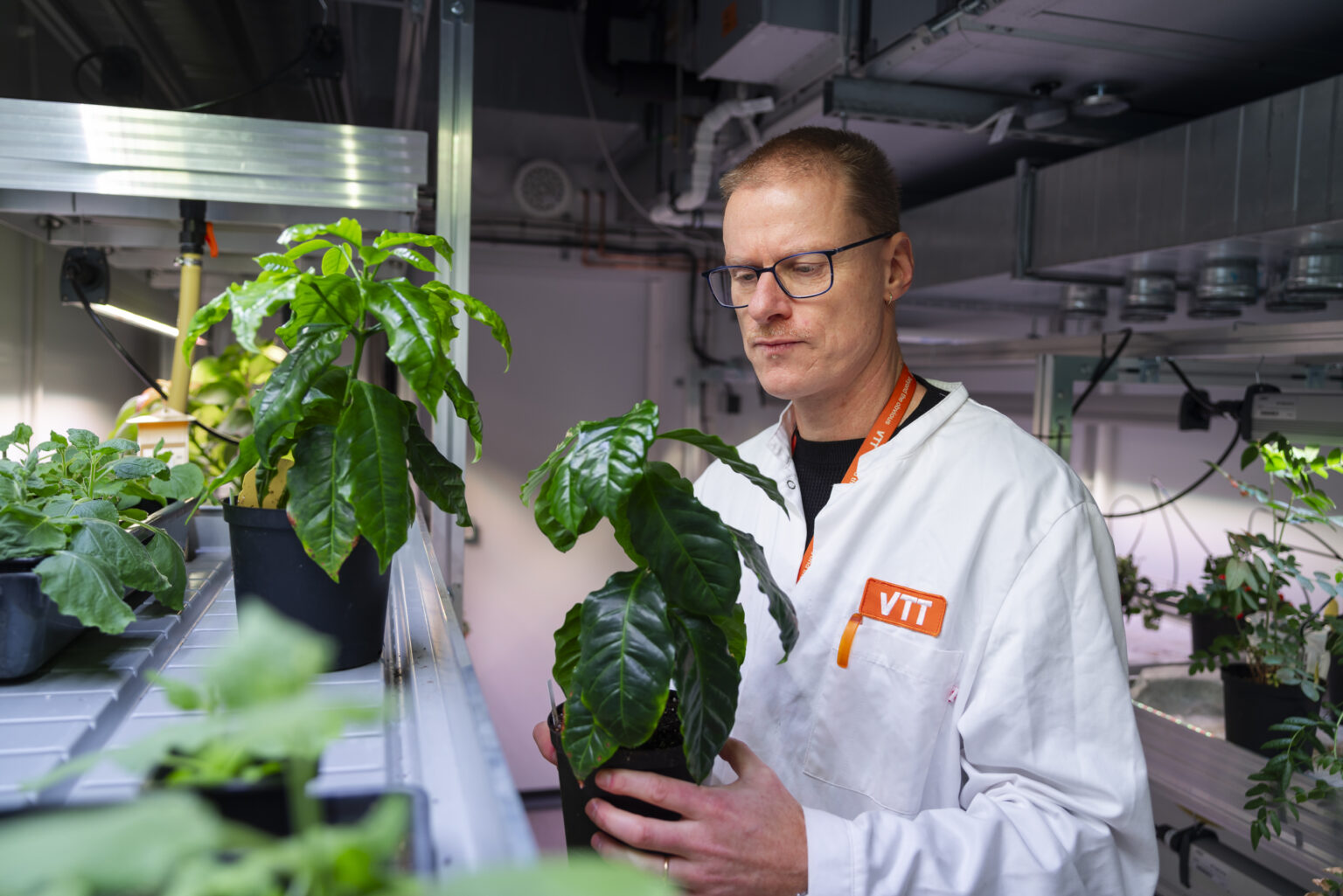 Lab-Grown Coffee: Scientists Publish Recipe for Novel Ingredient