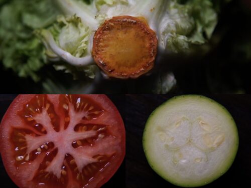 Feeding Tomorrow Film Spotlights Primarily Plant-Based Diet ...