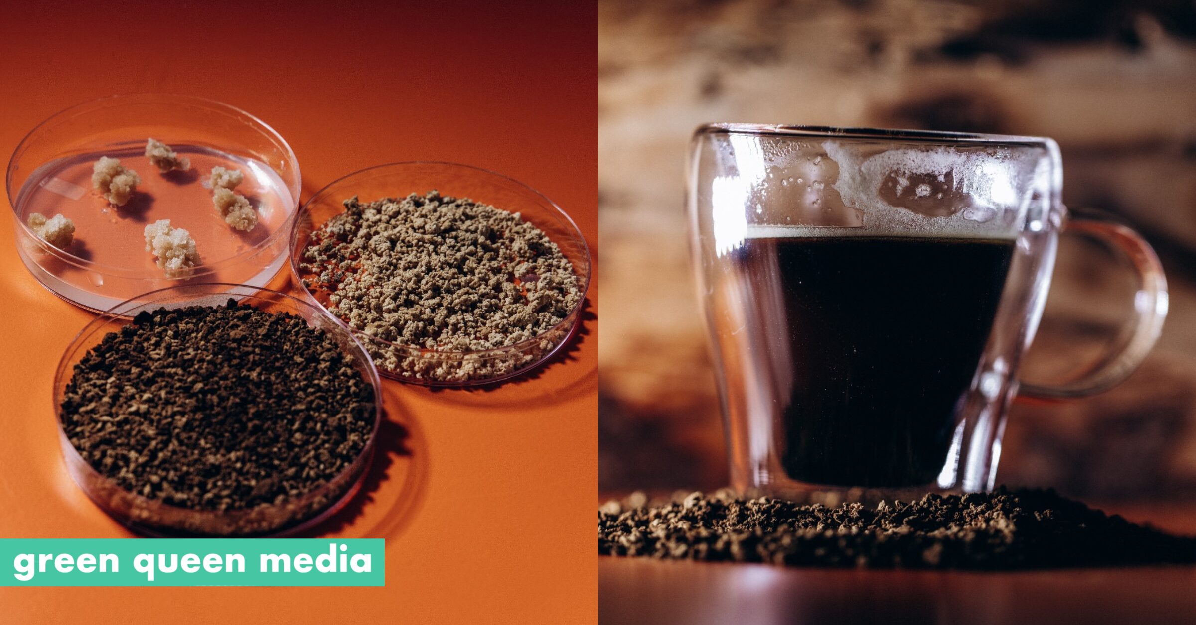 Pluri Launches Cell-Based Coffee with Industrial-Scale Production