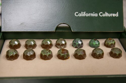 Puratos to Launch World's First Lab-Grown Chocolate for Professionals