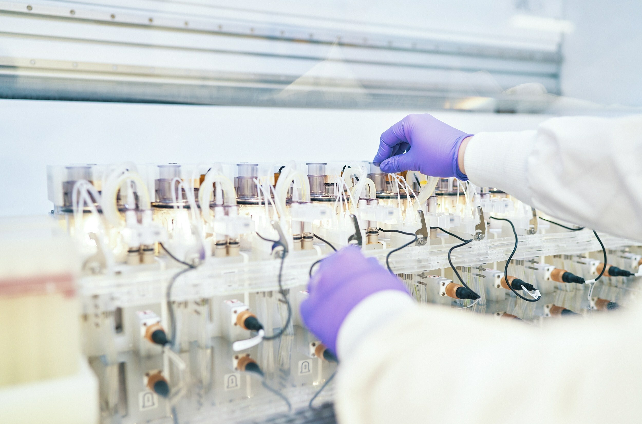 Ginkgo Bioworks - Green Queen