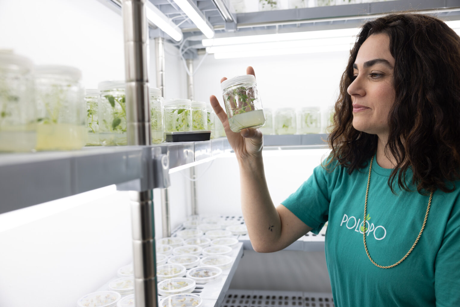 PoLoPo Turns Potatoes into Egg Proteins via Molecular Farming