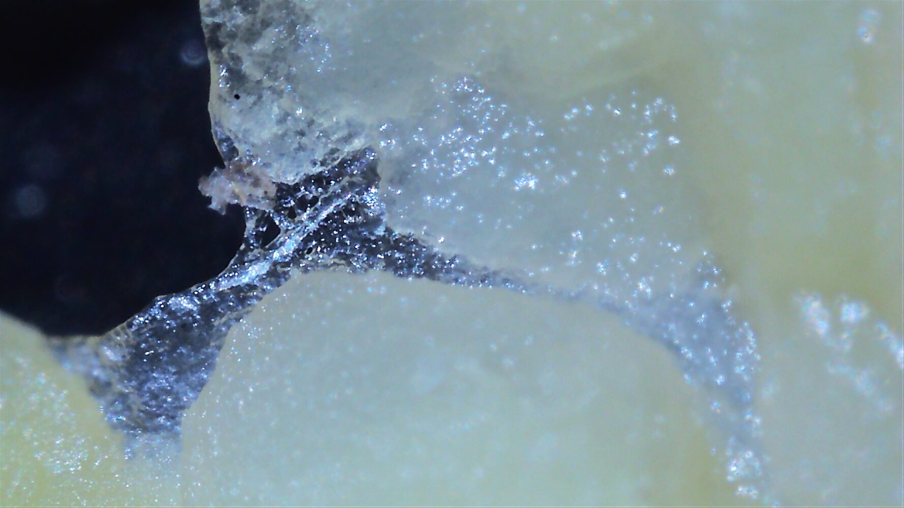 Exclusive: Lupreme Maker Eighth Day Foods is Up for Sale