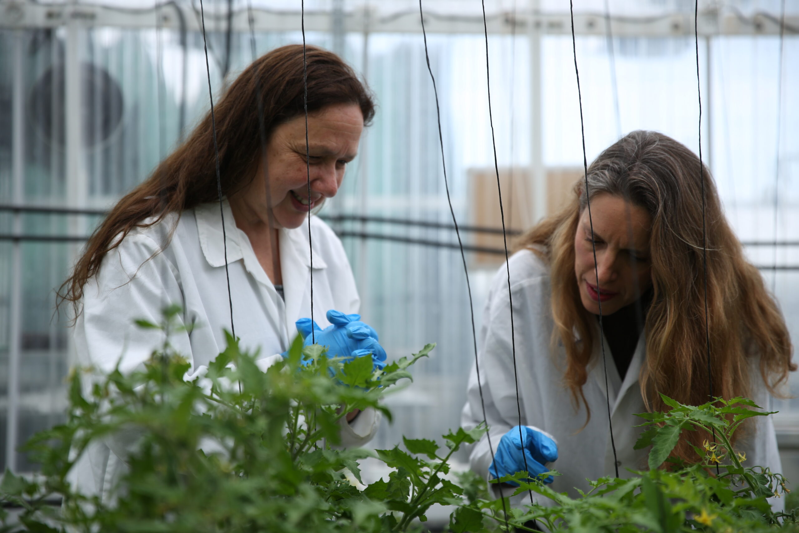 molecular-farming-finally-foods-casein-protein-the-kitchen-hub-2 ...