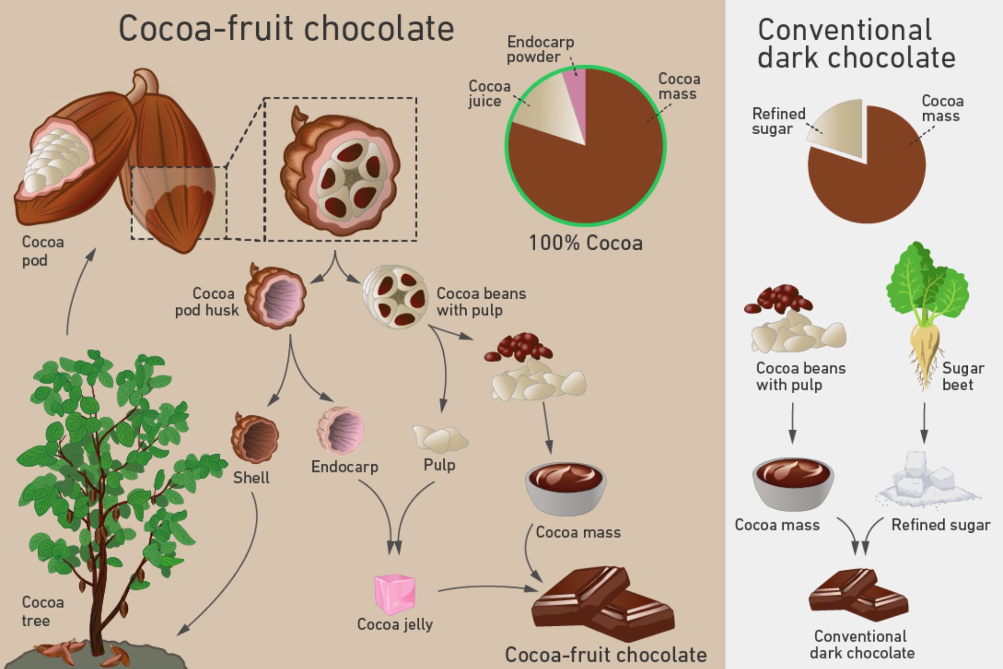 This Chocolate Is Made Entirely With Cocoa Fruit, and Nothing Else