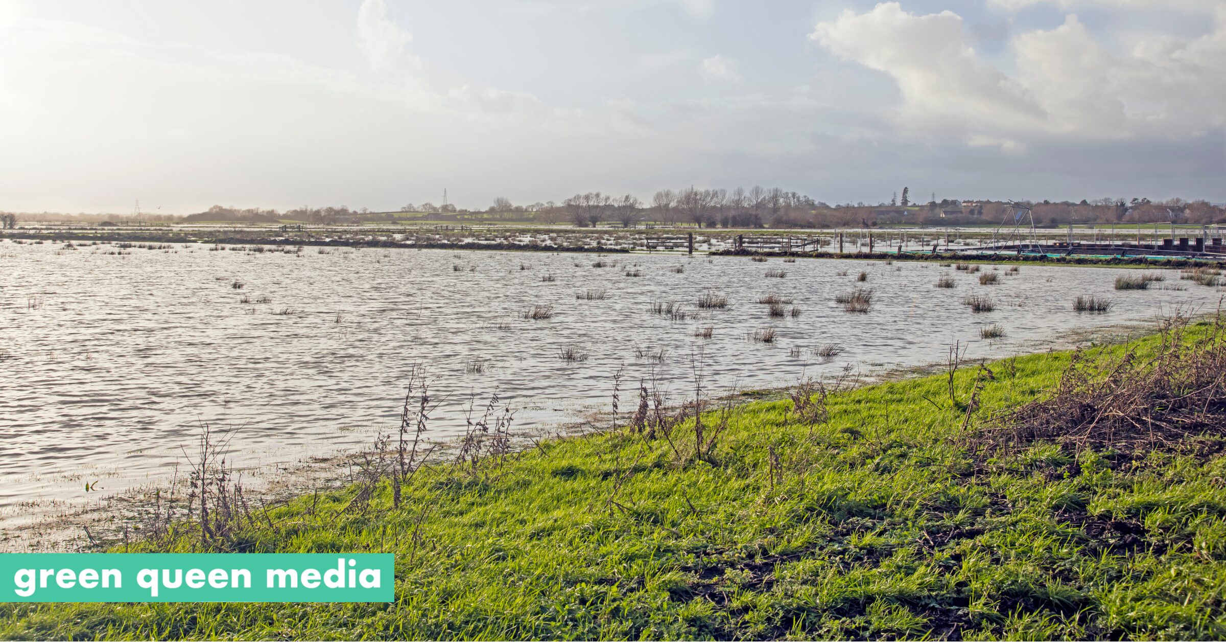 Industry & Government to Tackle Climate Risks to UK Food Supply