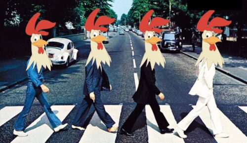 Vital Meat Files for UK Regulatory Approval of Cultivated Chicken