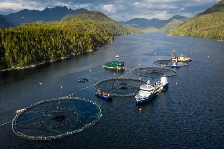 Canada Bans Open-Net Salmon Farming in BC, But Delays to 2029