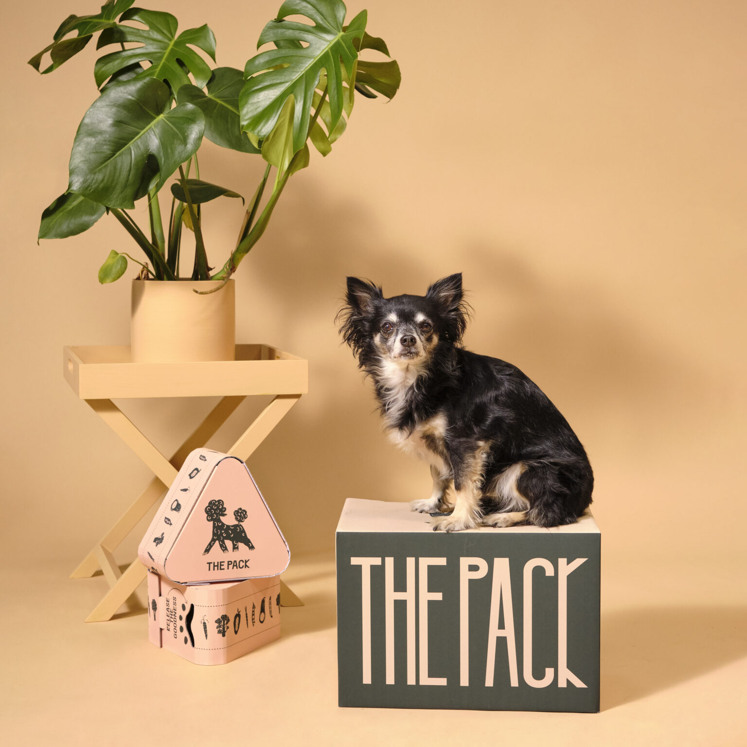 The Pack CEO Talks Crowdfunding Campaign & Vegan Dog Food