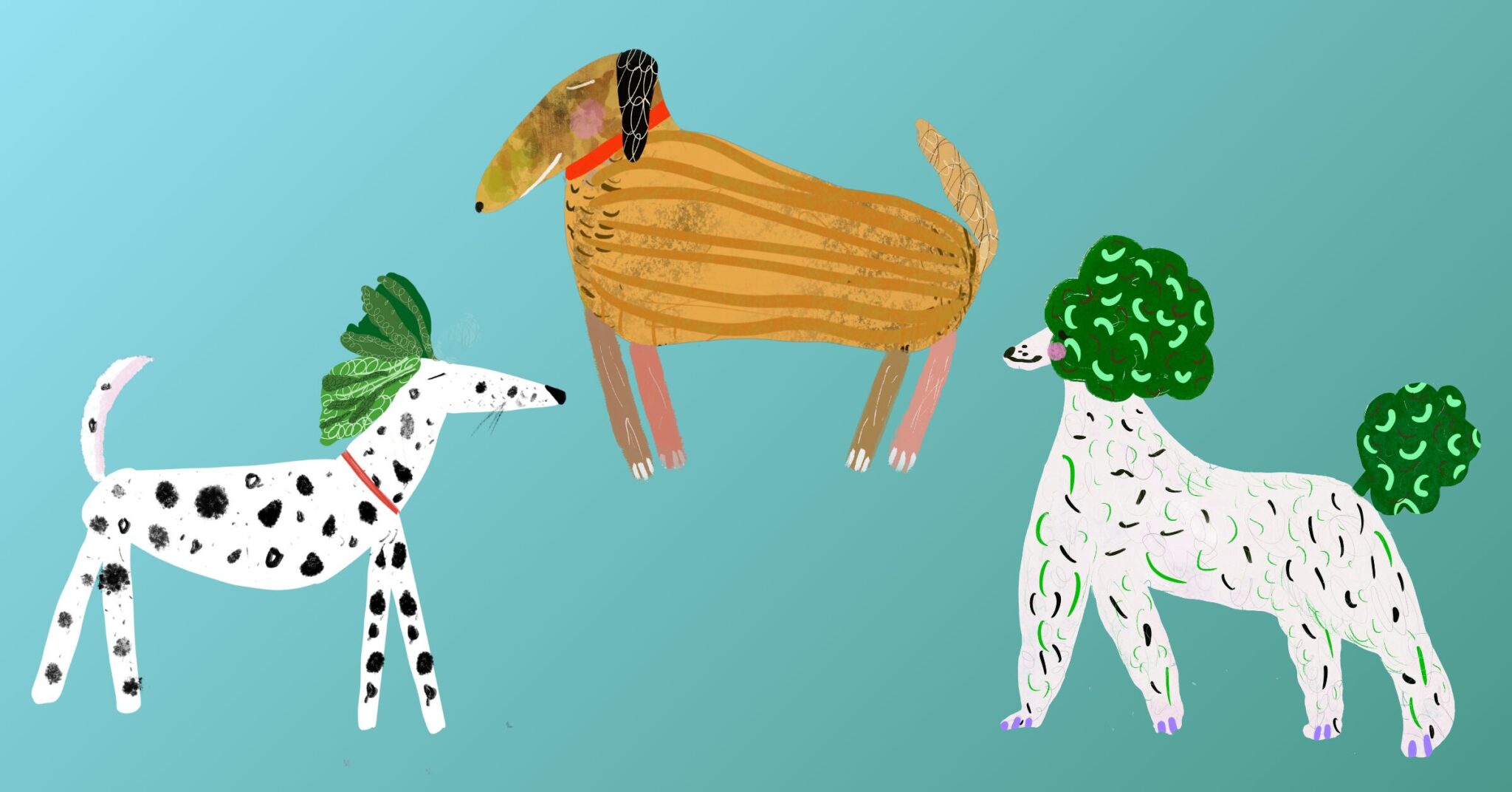 The Pack CEO Talks Crowdfunding Campaign & Vegan Dog Food