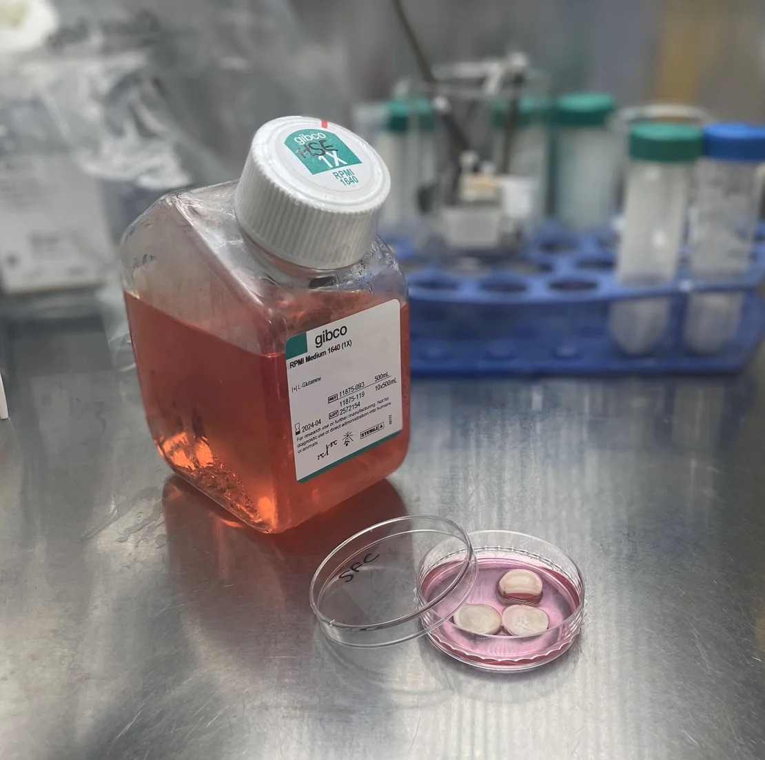 The Secret to Tastier Cultivated Meat? Maillard Reaction from A Gel