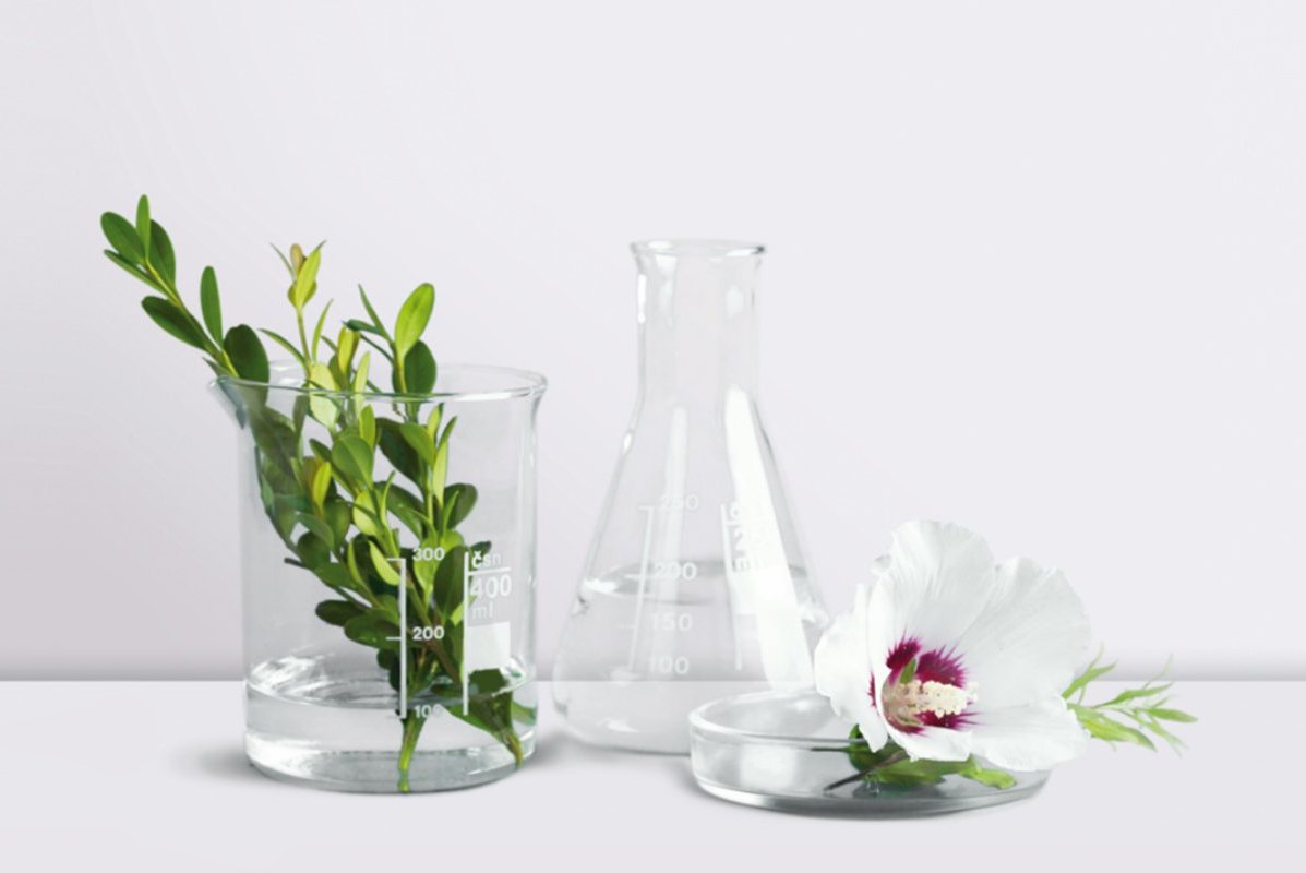 loreal-debut-fermentation-biotech-ingredients-sustainability-3 - Green ...