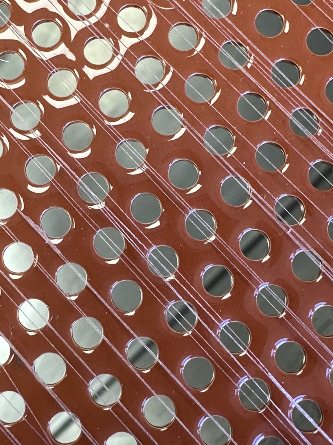 Project Eaden: Spinning Fibres to Make Next-Gen Plant-Based Meat