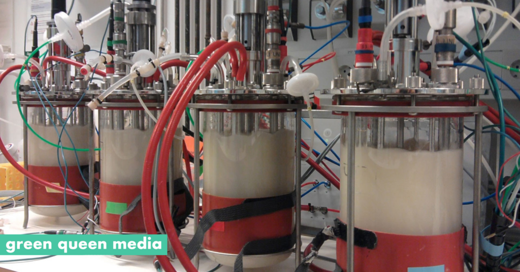 Is Wastewater A Solution for Food Waste, Sustainable Proteins & Green ...