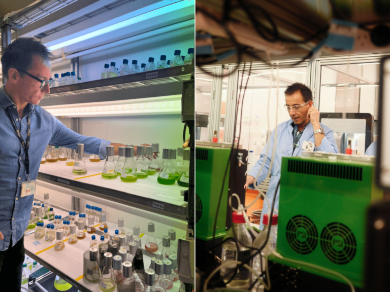 How Algenie is Turning Algae Into 'Carbon-Positive' Plastic & Biofuels