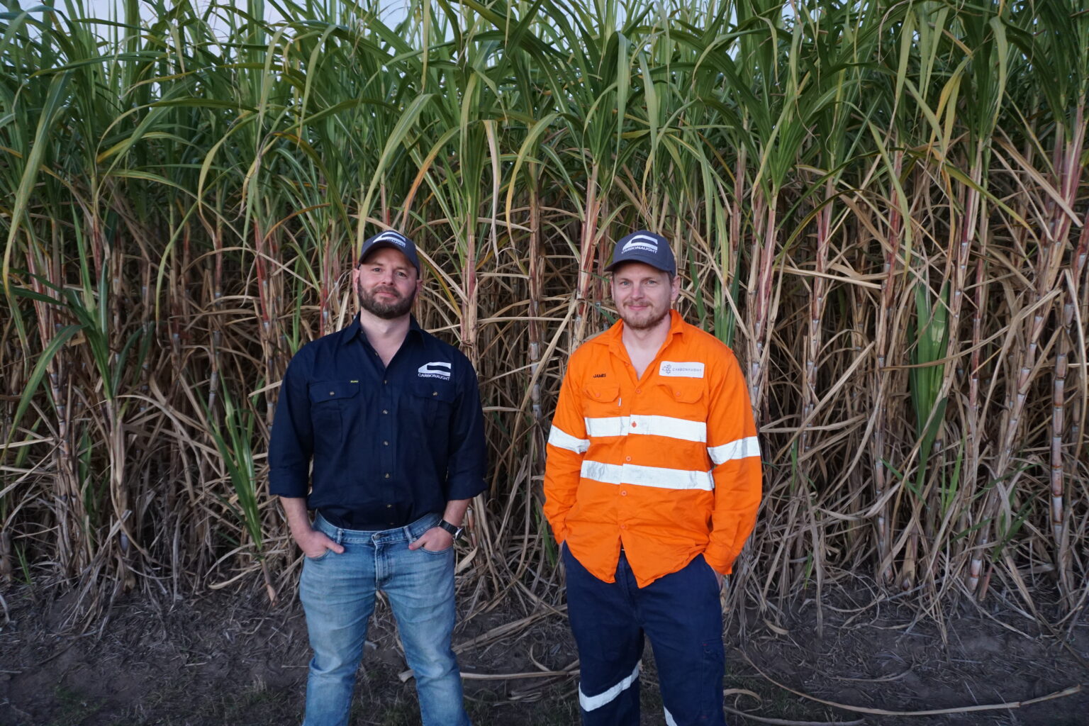 Carbonaught Nabs Funding for Low-Carbon Fertiliser From Rocks