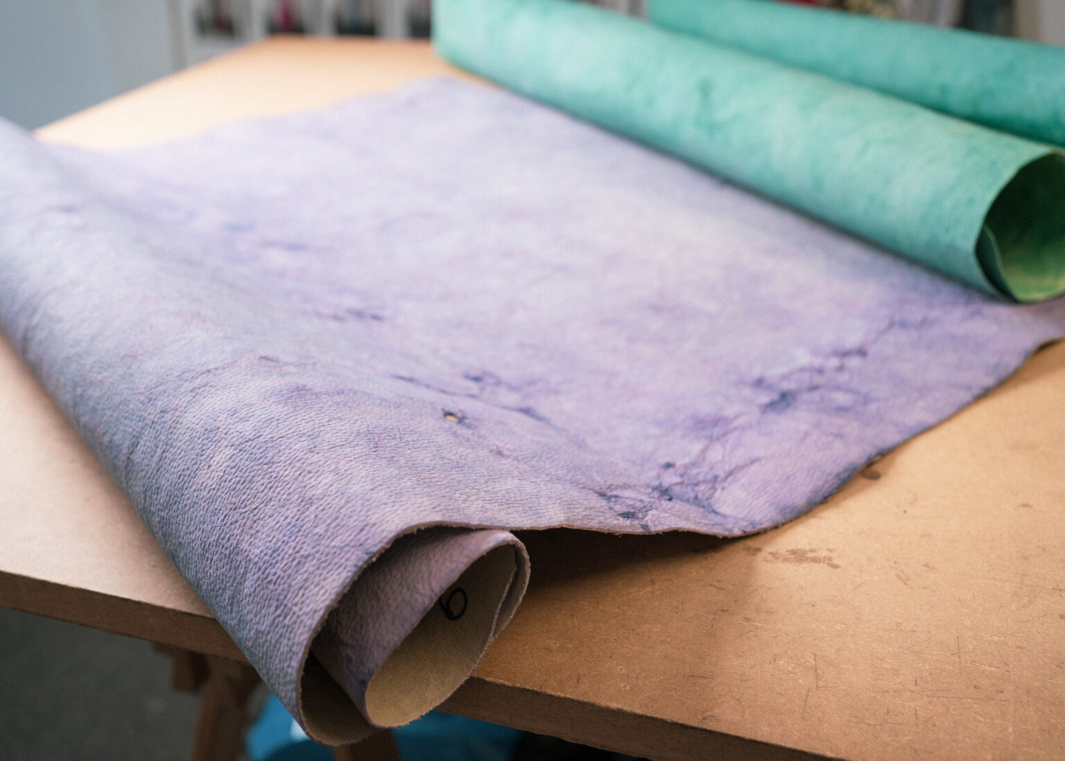 Mycelium Pioneer Ecovative Bags $28M for MyBacon & Alt-Leather