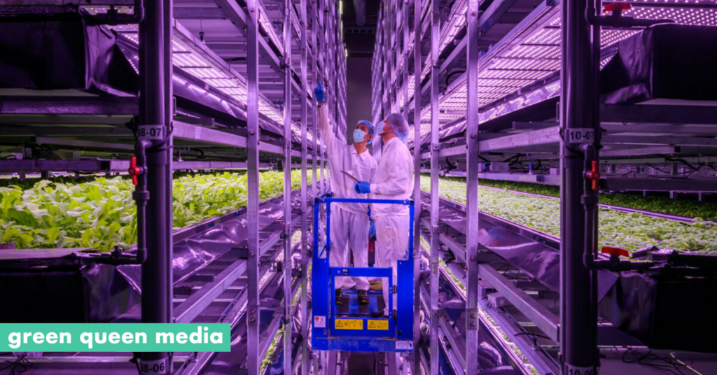 Denmark Invests $2.1B in Climate Transition, With Focus on Plant-Based ...