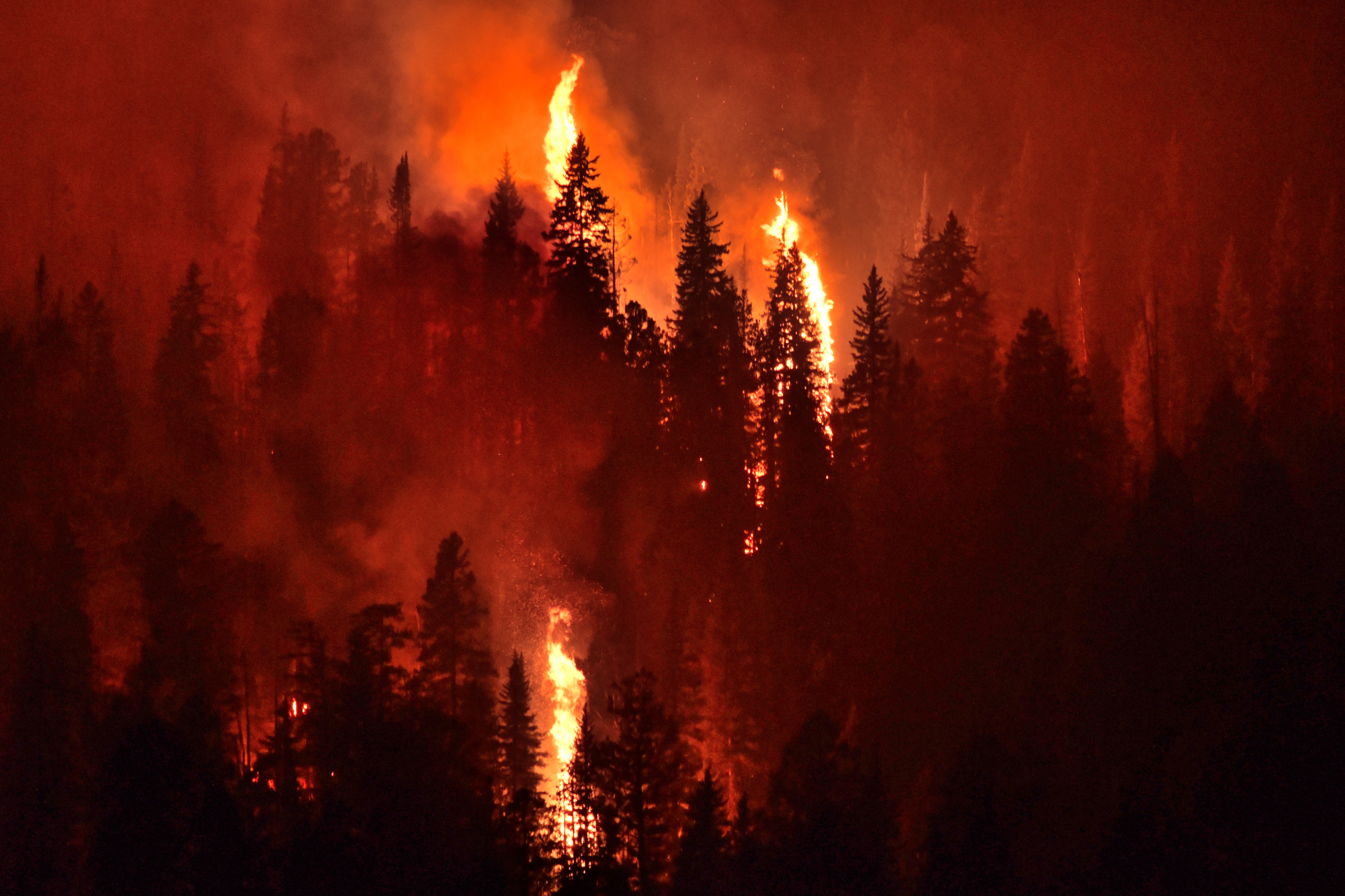 Forest Fires Are Shifting North & Causing Rising Carbon Emissions