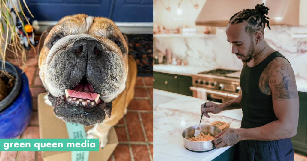 F1 Legend Lewis Hamilton Invests in Vegan Dog Food Startup Bramble