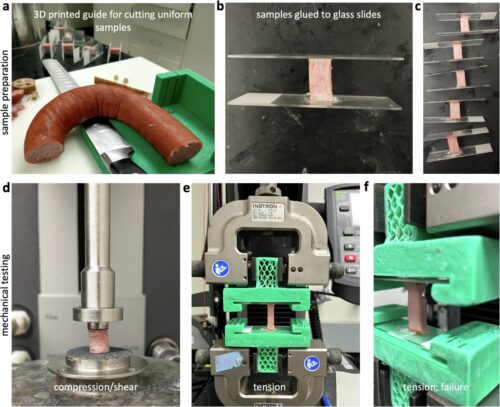 Stanford Researchers Use AI to Make Vegan Meat More Realistic