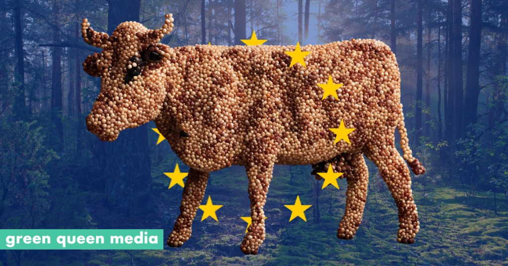 Eat Less Meat, More Plant-Based for Food Security, EU Experts Say