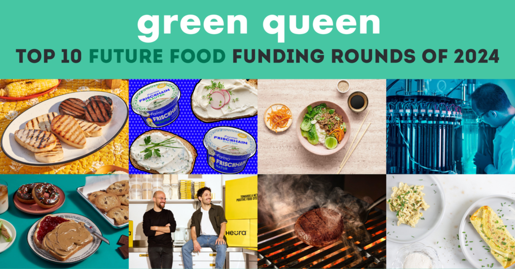 The Top 10 Alt-Protein & Future Food Funding Rounds of 2024
