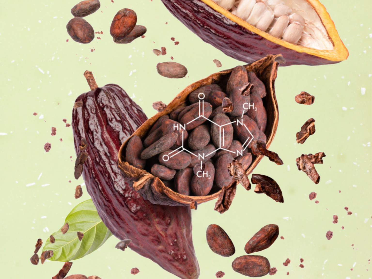 14 Startups Making Cocoa-Free & Cell-Based Chocolate Alternatives