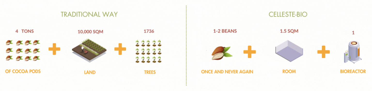 Mondelez Invests in Israeli Startup Making Cell-Based Cocoa with AI