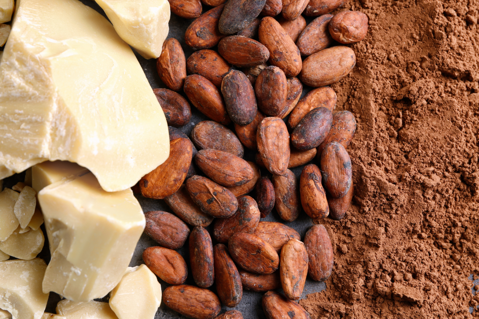 Mondelez Invests in Israeli Startup Making Cell-Based Cocoa with AI
