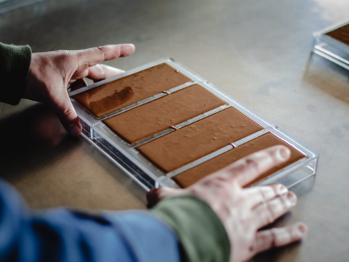 14 Startups Making Cocoa-Free & Cell-Based Chocolate Alternatives