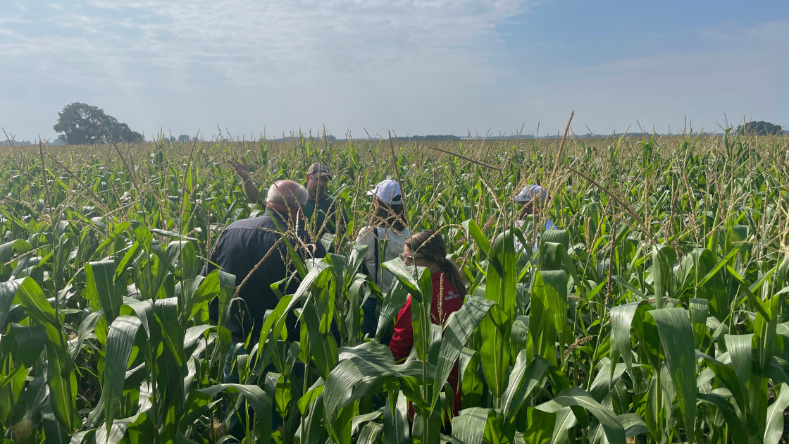 mars-petcare-regenerative-agriculture-pet-food-rfk-jr-2 - Green Queen