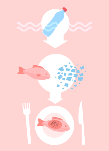 How Microplastics Damage the Gut Microbiome & Overall Health