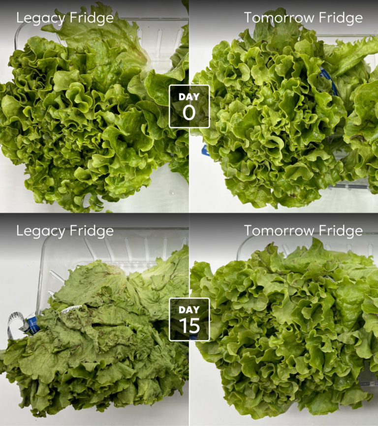 Tomorrow's AI-Powered Fridge Cuts Food Waste & Saves You Money