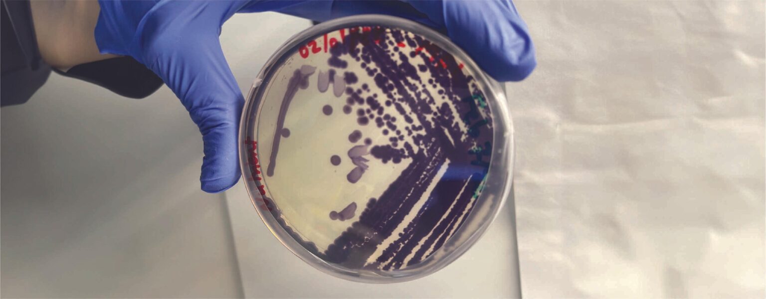 Alternative Food Coloring Startups Win Big With FDA's Red Dye No. 3 Ban