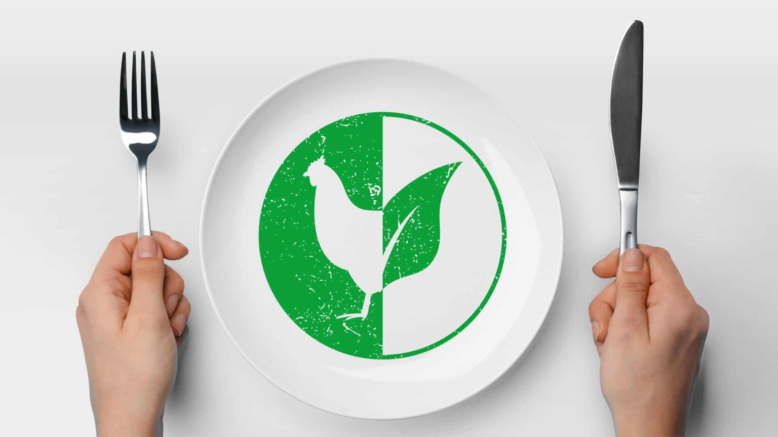 Germany's Kynda Raises €3M for Mycelium Meat, Supported by Poultry Giant