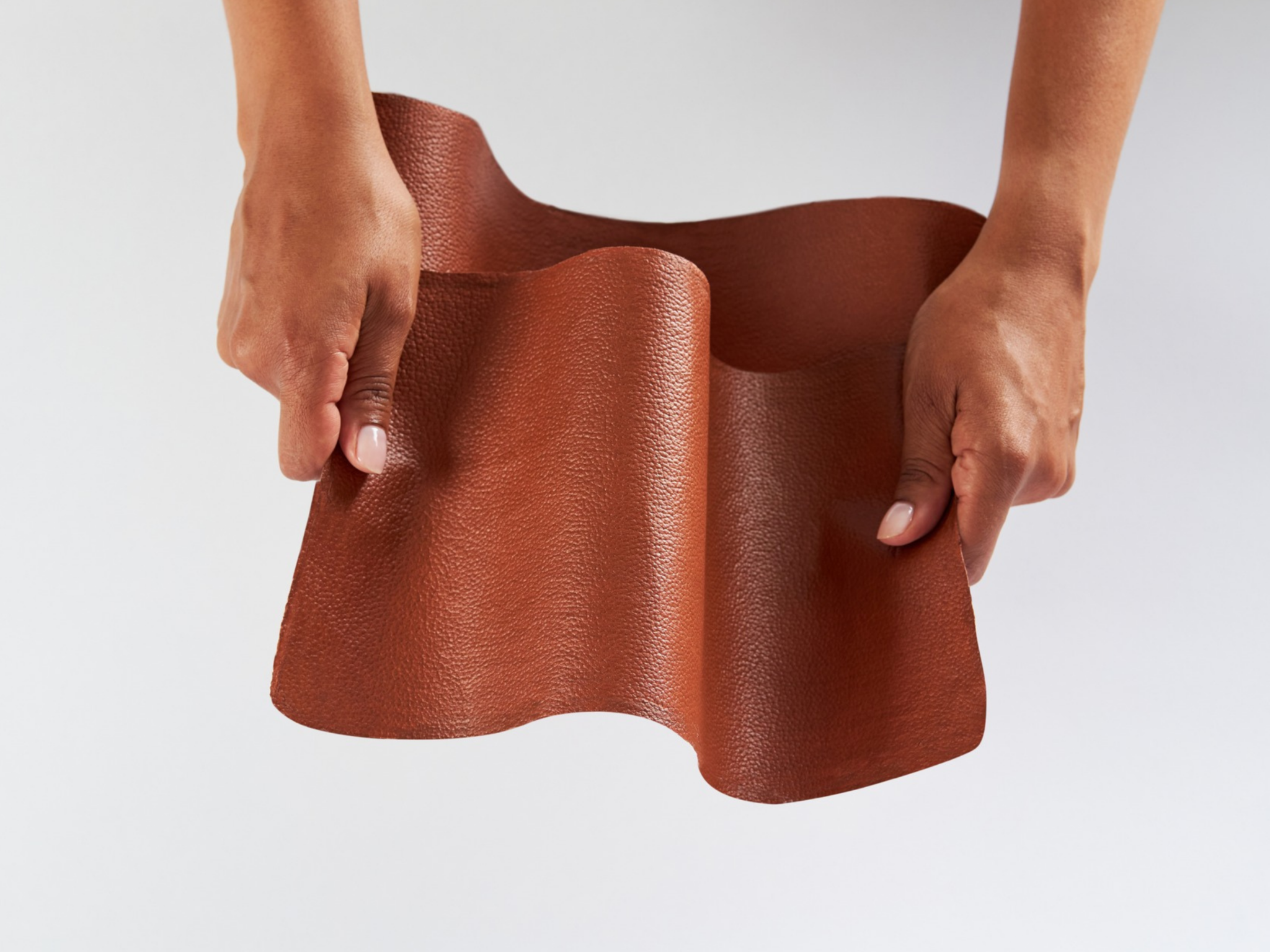 Lab-Grown Leather: Faircraft Snaps Up VitroLabs to Scale Up Future Material