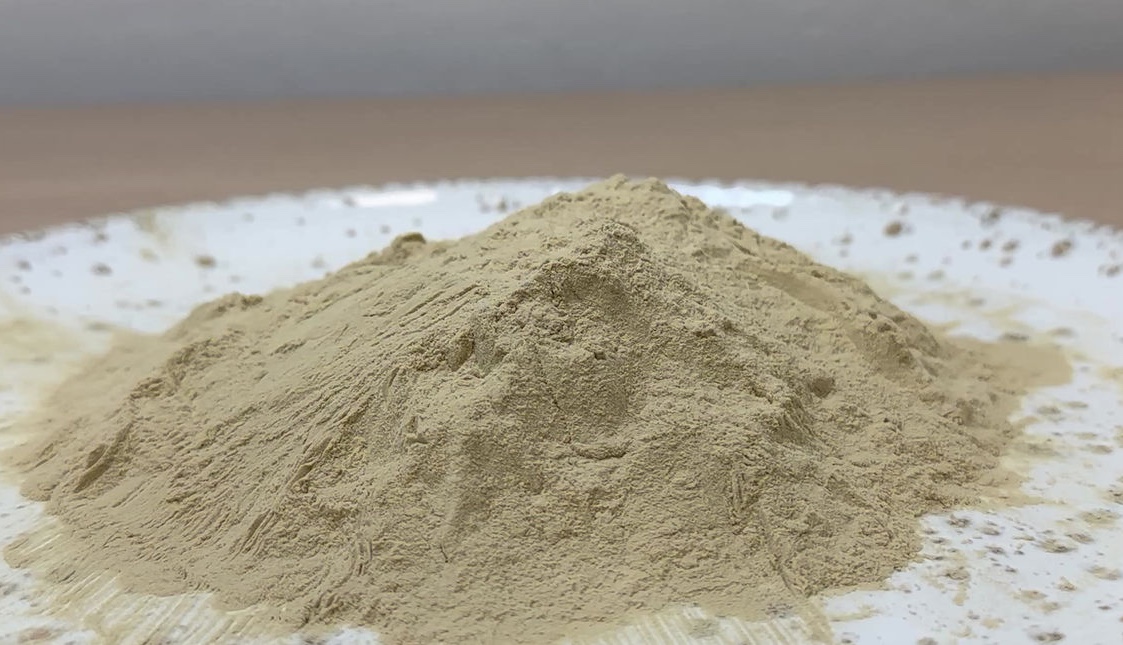 EU Invests $15.4M in MOA Foodtech to Turn Food Waste Into Proteins Using AI