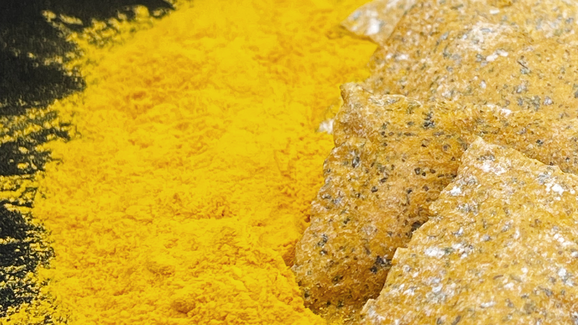 solar-foods-business-finland-funding-solein-gas-protein-4 - Green Queen